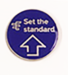 Values Pin - Set the Standard - Purple – Encompass Health Employee ...